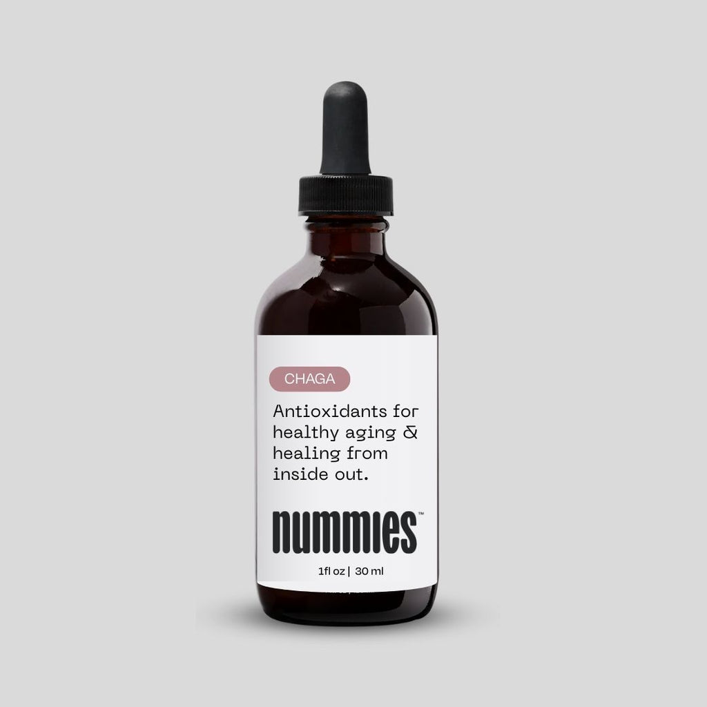 Chaga Tincture – Nummies